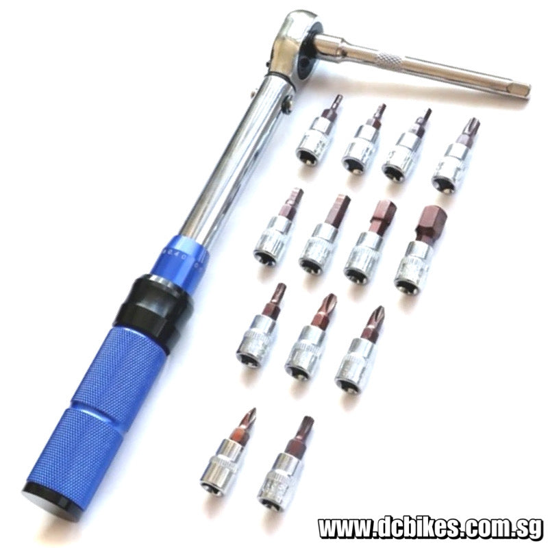 21 in 1 Professional 2nm-24nm Torque Wrench + Allen | Star Key Hex Too ...