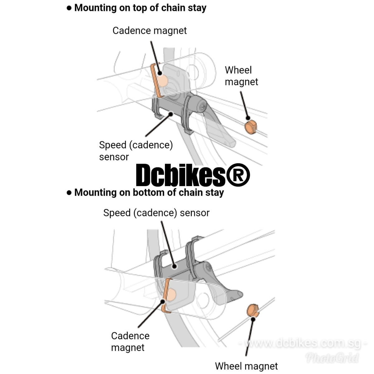 Cateye Cadence Magnet For MTB Road Wireless Computer Speedometer – Dcbikes